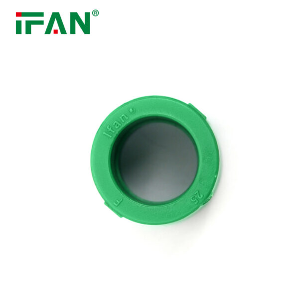 PPR equal socket